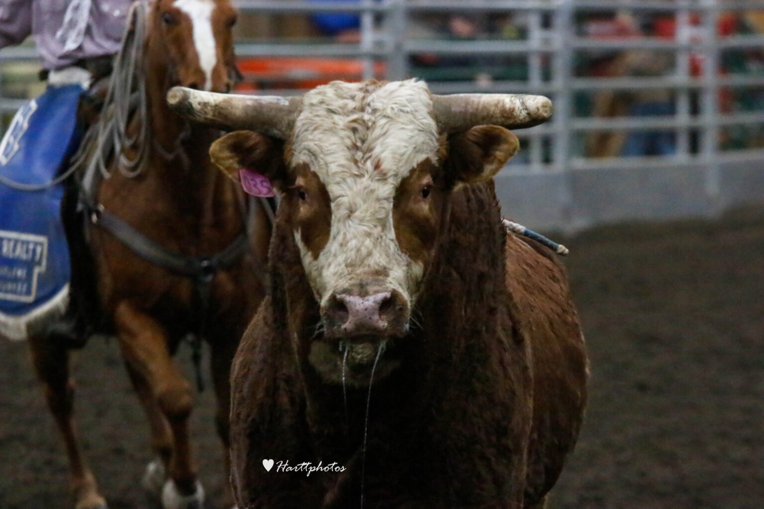 RIMBEY AG SOCIETY - Rimbey Ag Society