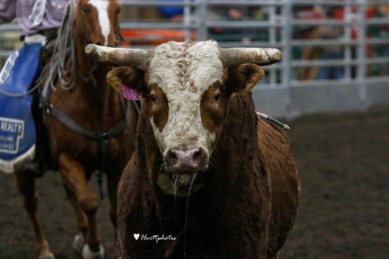 RIMBEY AG SOCIETY - Rimbey Ag Society